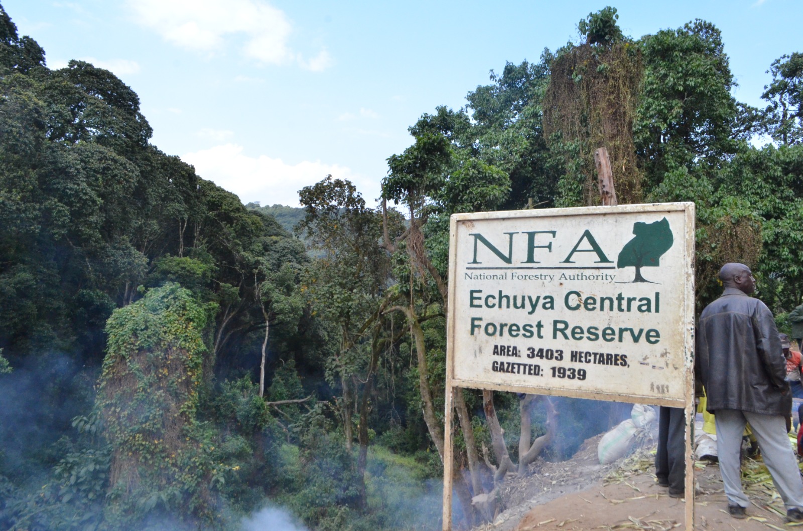 Kisoro Authorities Push for upgrade of Echuya Forest to National Park ...